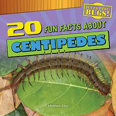 20 Fun Facts About Centipedes | Matthew Elkin | Lexile & Reading Level..